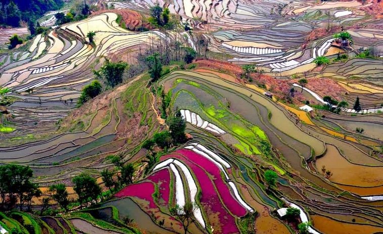 Photography Tour of South-East Yunnan | Synotrip