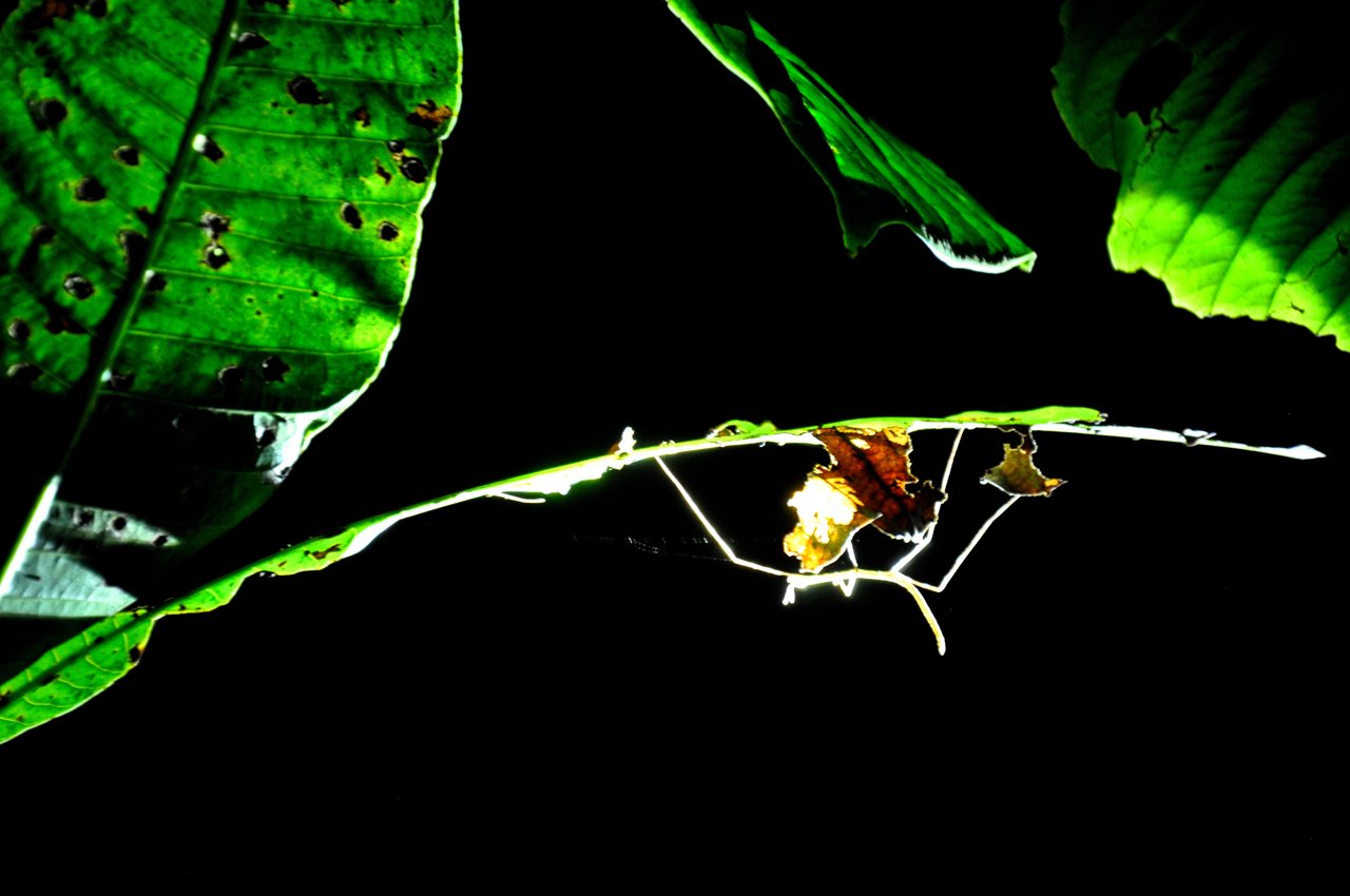 Ulu Geroh, Gopeng Malaysia | Synotrip