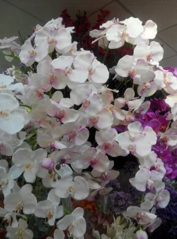 Guangzhou Wanling Square-The Simulation Flowers Market | Synotrip